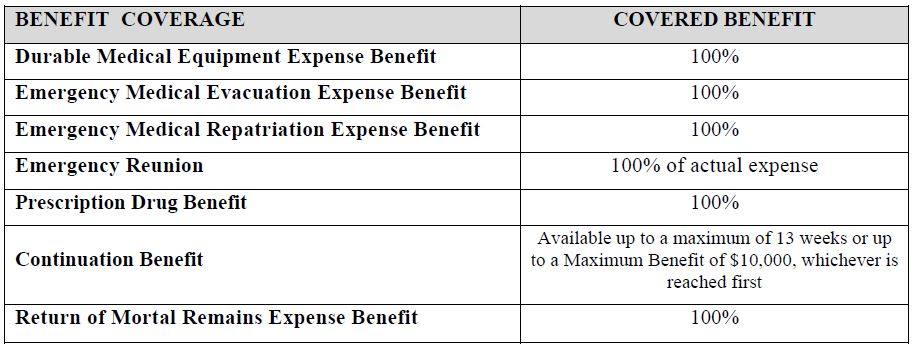 Safety Standards | China Internship Placements